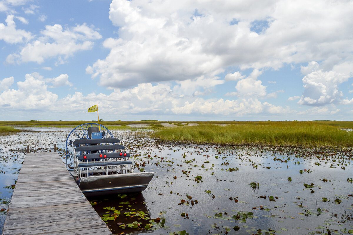 Sortie bateau aux Everglades : quelle est la meilleure